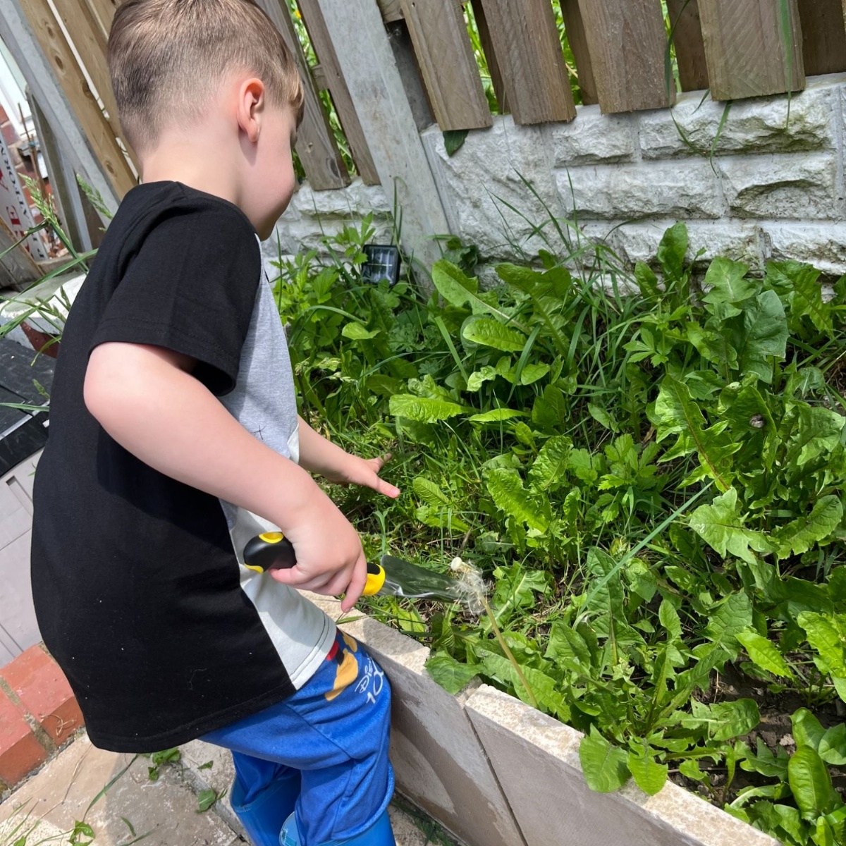 Watercliffe Meadow Community Primary School - Hunter Growing