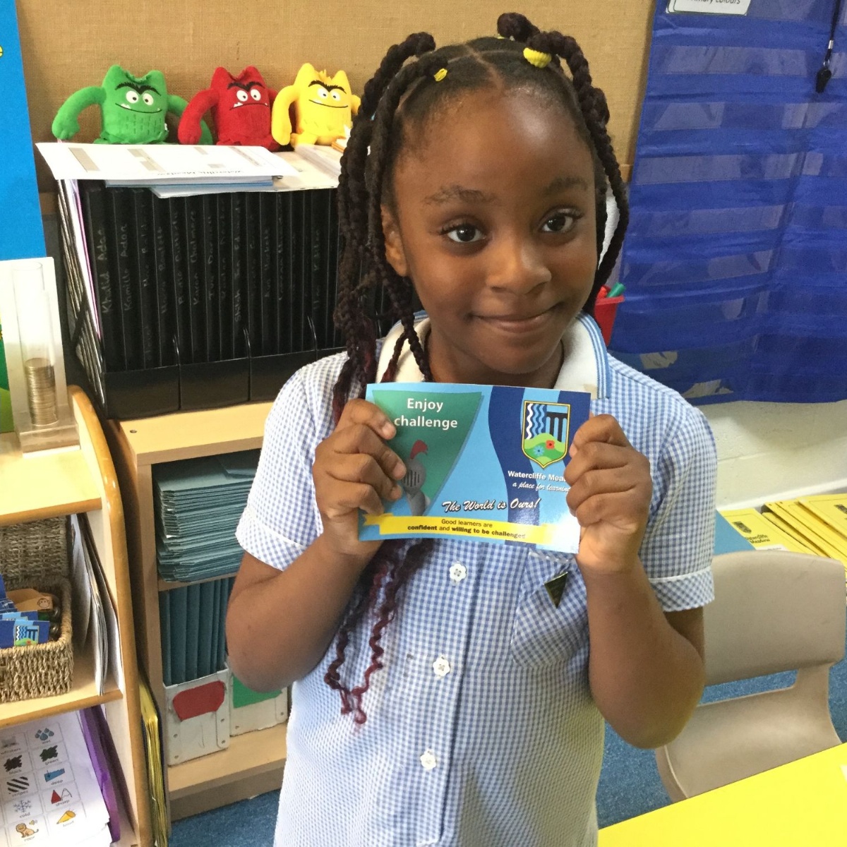 Watercliffe Meadow Community Primary School - Learning Principle Badge